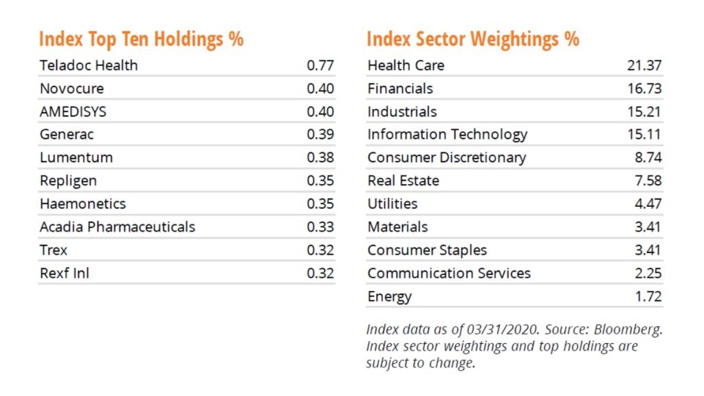 Study of RUT and TNA | Timeless Investor